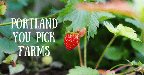 You-Pick Farms In and Around Portland - Portland Living on the Cheap