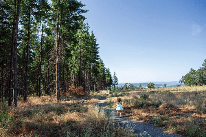 Chehalem Ridge Nature Park Grand Opening - Portland Living on the Cheap