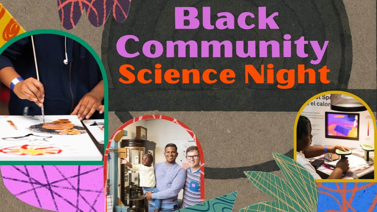 Black Community Science Night at OMSI - Portland Living on the Cheap