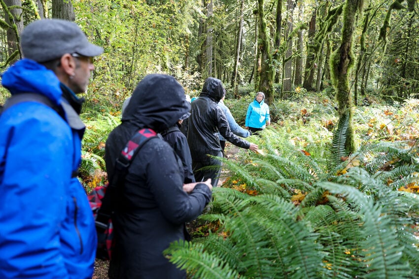 Salmon Homecoming at Oxbow Park - Portland Living on the Cheap