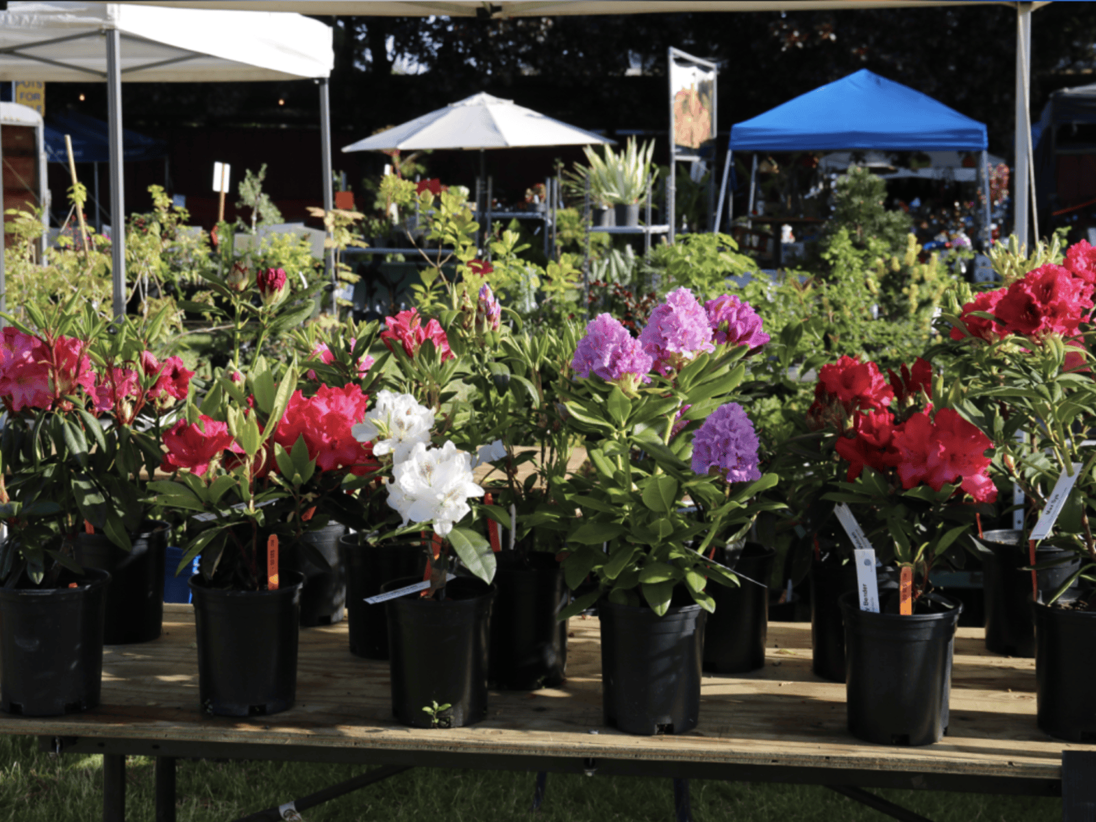 Spring Garden Fair at Clackamas County Event Center - Portland Living ...