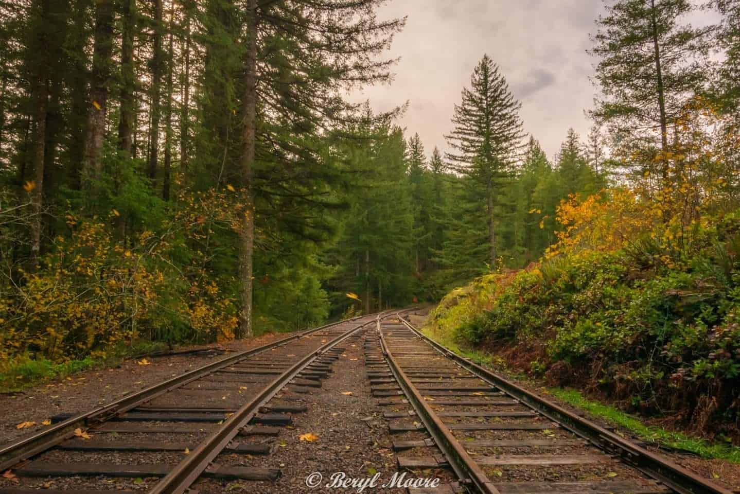 Chelatchie Prairie Railroad's Fall Leaves Train Ride - Portland Living ...
