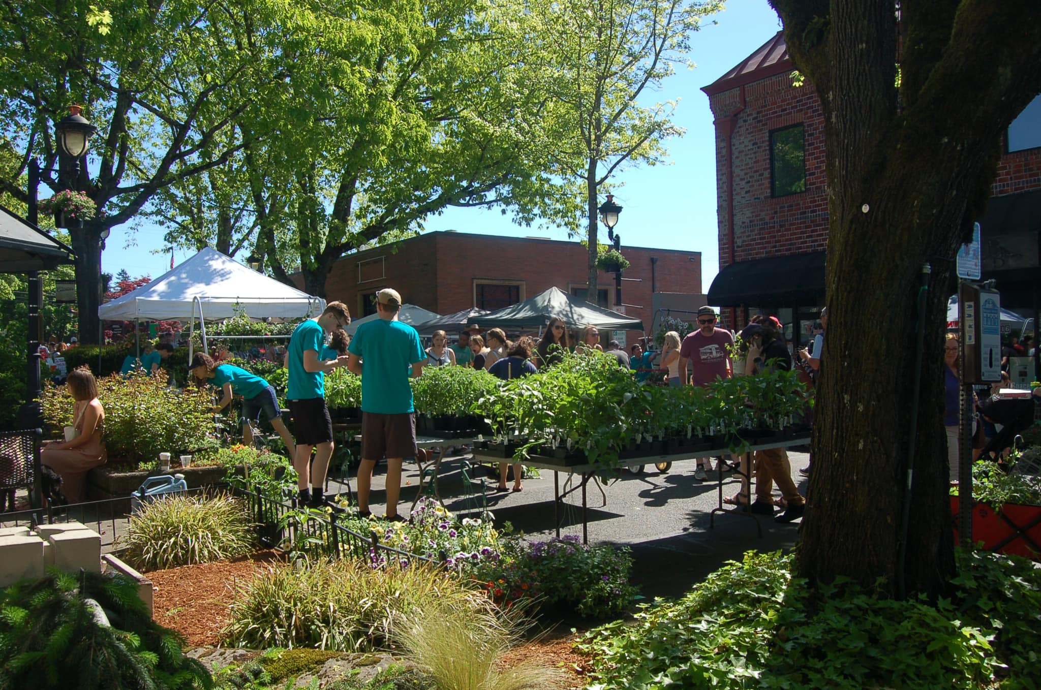 Bloom into Spring at the Camas Plant and Garden Fair - Portland Living on the Cheap