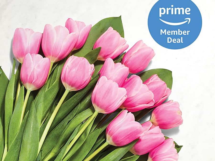Get a $9.99 Tulip Bouquet at Whole Foods Market - Portland Living on ...
