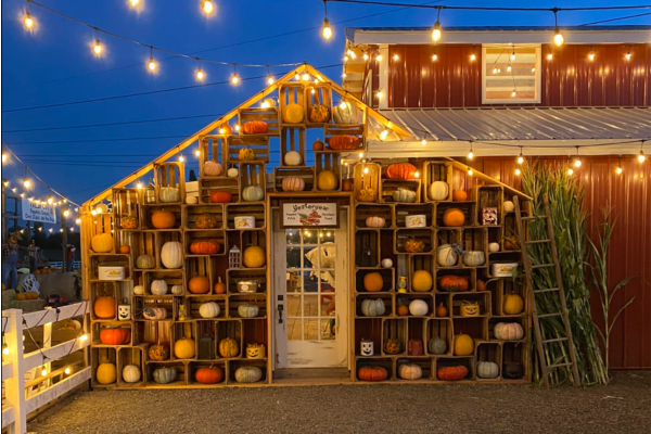 Watch Movies in a Pumpkin Patch at Yesteryear Farms - Portland Living ...